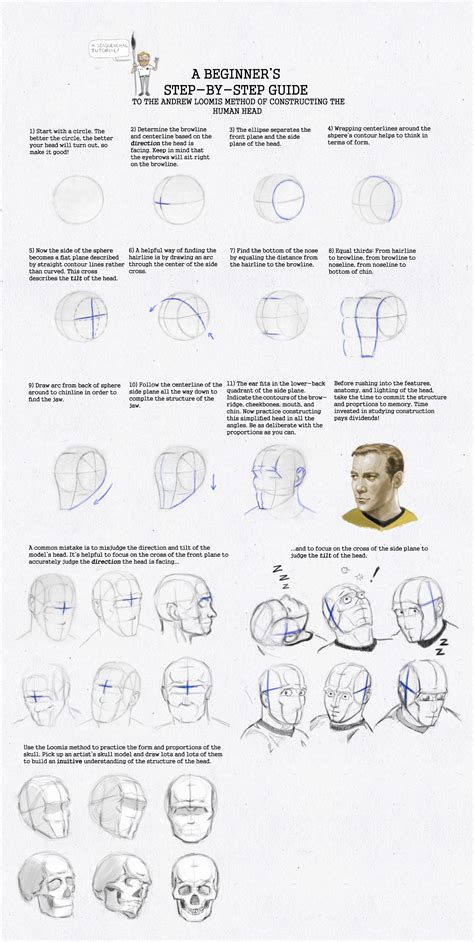 Loomis Method A Beginner S Guide WIP Drawing The Human Head Drawing