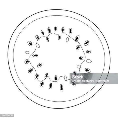 잘 익은 자른 수박 평면도 손으로 그린 낙서 스타일 여름 과일 색칠 공부 페이지 건강한 식생활에 대한 스톡 벡터 아트 및 기타