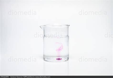 STOCK IMAGE BT AQ MV Science Source Search Stock Photos Images Pictures