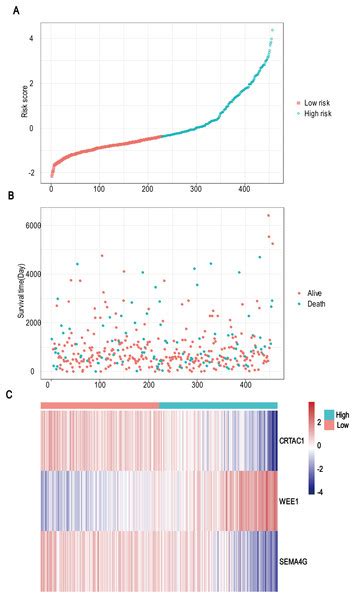 Identification And Validation Of A Three Gene Signature As A Candidate