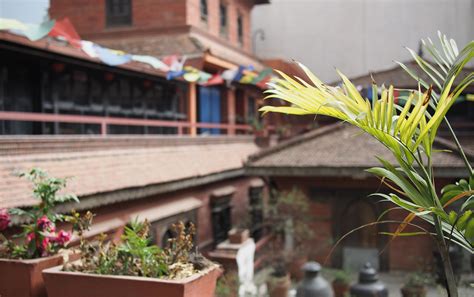 Back To Basics Nepali Project