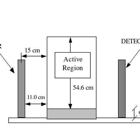 Side View Of The Nucleus And The Detector Positioning Download Scientific Diagram