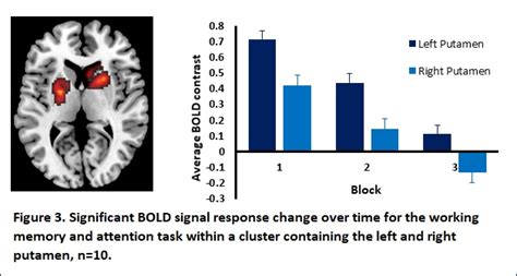 Brain Activity Patterns And Behavioural Performance In Sle Patients