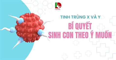 B Quy T Sinh Con Trai Sinh Con Nh