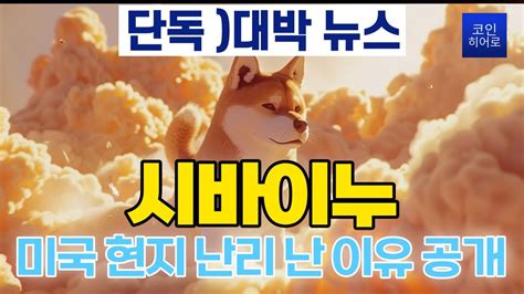 시바이누 코인 시바이누 미국현지에서 난리 난 이유 공개 합니다 시바이누코인 코인 코인전망 시바이누 일론머스크 Youtube