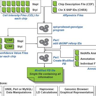 Analysis Pipeline Workflow The Pipeline Was Initially Written For The Download Scientific
