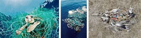 The Plastic Island Pollution Facts And Some Of The Best Recycling