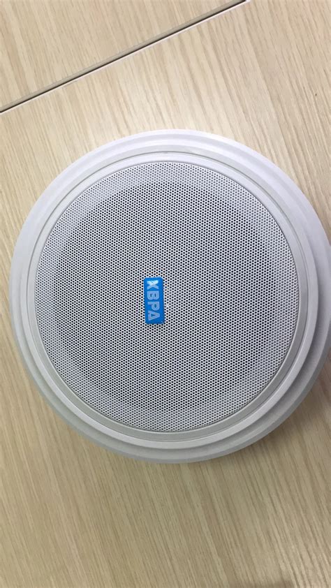 Pro Audio Ip Speaker Ip Network Speakers Ceiling Speaker W W W W W W W W W