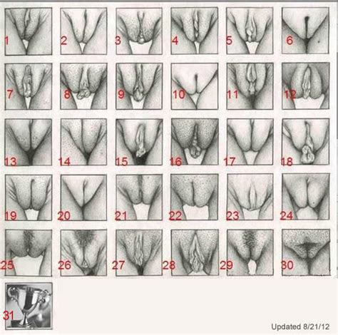 Vigina Shapes And Types Cumception