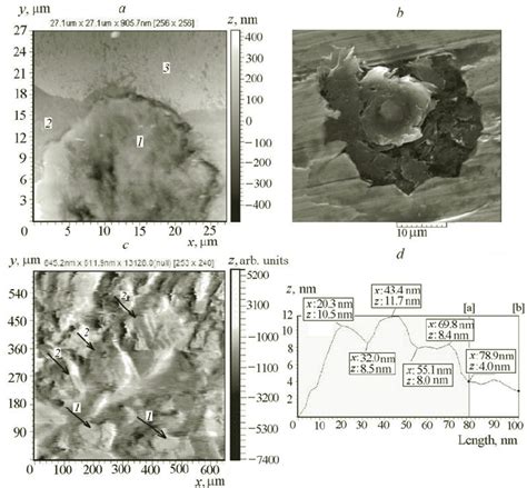 Microstructure Of The Graphite Particle Of The Initial Vchtg Specimen Download Scientific
