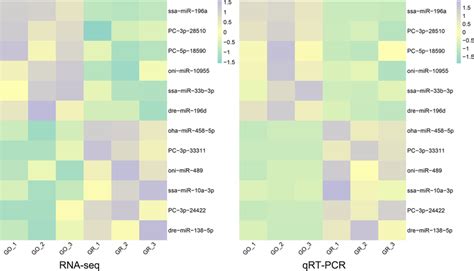Heatmap Analysis For Rna Sequencing Transcripts Per Million Tpm And