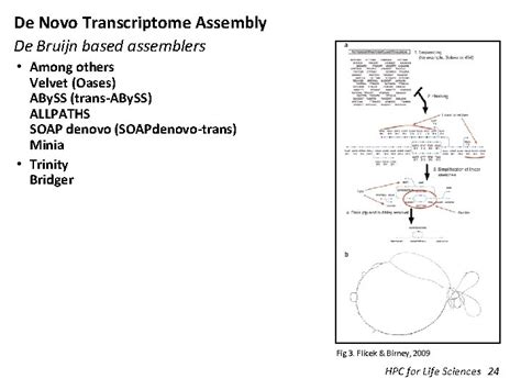 Transcriptome Analysis Data Preprocessing Sample Preparation Illumina
