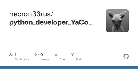 GitHub Necron Rus Python Developer YaContext