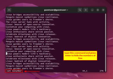 Easy Ways To Show Line Number In Vim