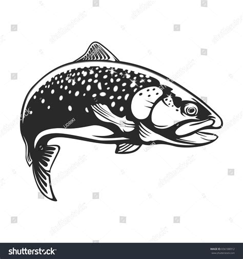 20 079 Rainbow Trout Images Stock Photos Vectors Shutterstock