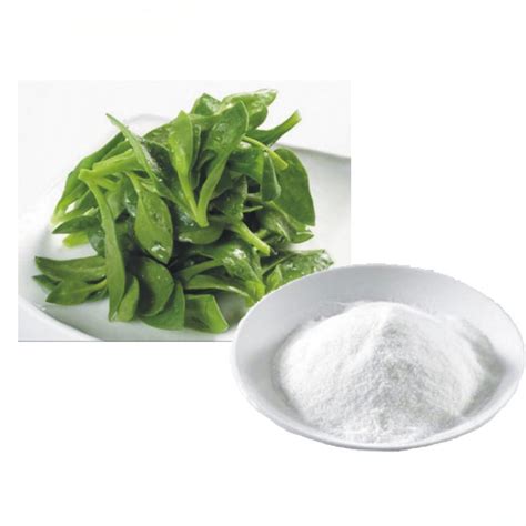 Extracto De Andrographis Andrographolides China Extracto De Andrographis Andrographolides