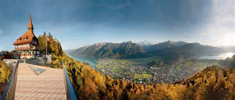 Field Guide Interlaken Switzerland Wildbounds