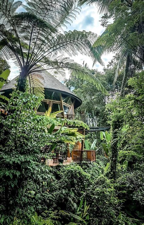 Dreamy Bali Treehouse Accommodation Near Ubud Sebatu Sanctuary In Ubud Bali Tree House
