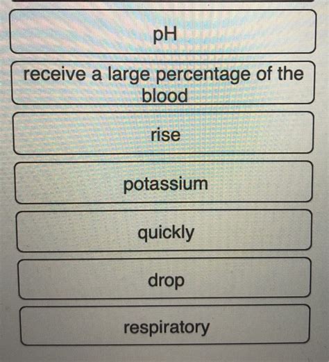 Solved The Bicarbonate Ion Buffer System Helps Maintain
