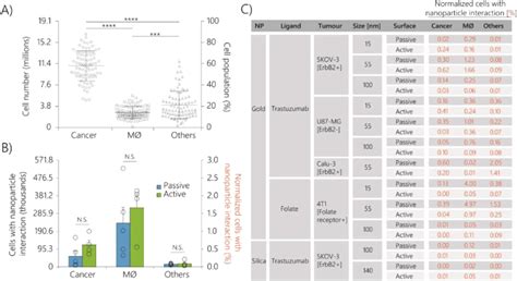 Quantification Of Intratumoral Nanoparticle Cell Interactions A Flow Download Scientific