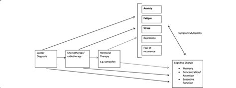 Conceptual Model For Understanding The Association Between Breast