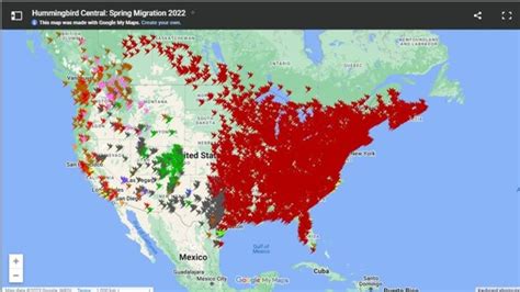2025 Hummingbird Migration Map Discover Out When To Count On Them