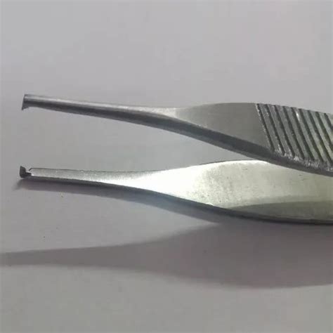 Adison Forceps At Rs Piece Dissecting Forcep In Jaipur ID