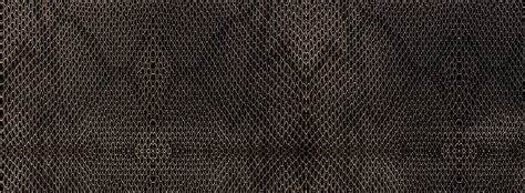 Black Python Wallpaper