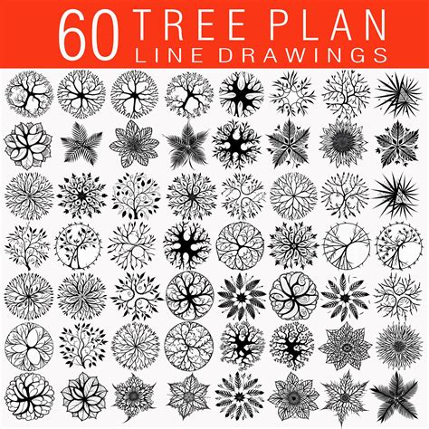 Landscape Tree Plan PNG Tree Top View Tree Plan Images Tree Plan Symbol Tree Plan View Tree