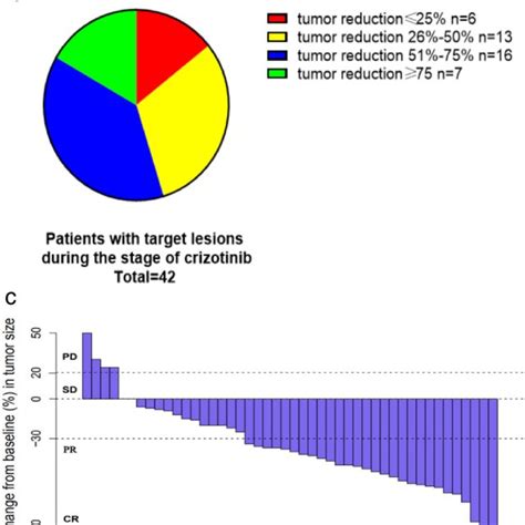 A Waterfall Plots For Patients With Target Lesions During Treatment