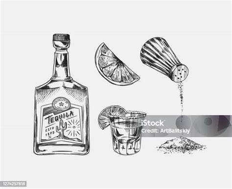 레트로 포스터 또는 배너에 대한 라임과 라벨로 데킬라 소금 촬영 한 병 멕시코 음료 손으로 그린 빈티지 스케치 우드 컷 스타일