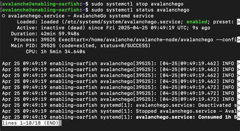 How To Run An Avalanche Node Avax Node Requirements