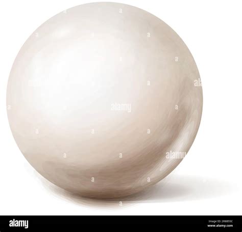Vector Ralistic Icon Illustration White Sea Pearl Isolated On White Background Stock Vector