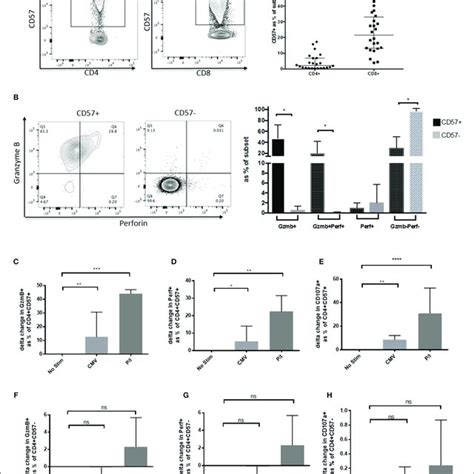 Cd57 Identifies Cytolytic Cd4 T Cells A Representative Dot Plot