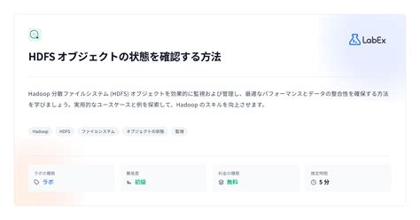 Hdfs オブジェクトの状態を確認する方法 Labex