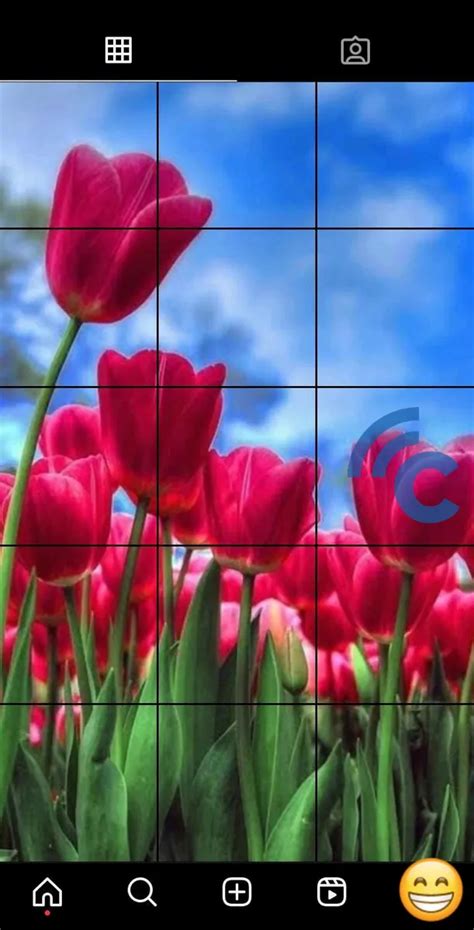 How To Make Grid Style On Your Instagram Feed
