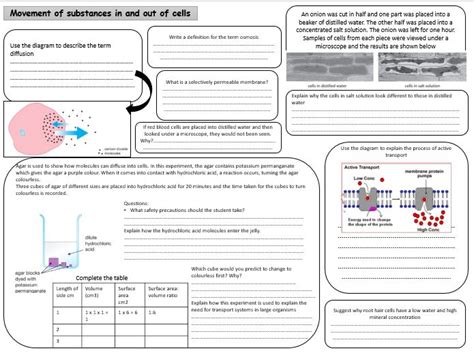Edexcel Igcse Biology 9 1 Revision Mat Covering Enzymes Practicals And Movement In Out Cells