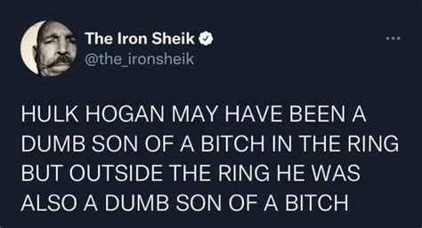 In Memory Of White Supremacist Hulk Hogan Dying Album On Imgur