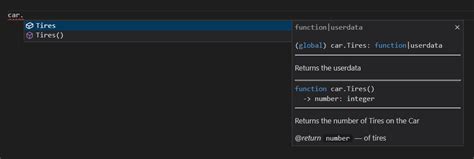 Field And Method Of The Same Name Not Working Since 30 · Issue 1541 · Lualslua Language