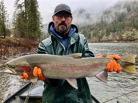 Idaho Fish Reports