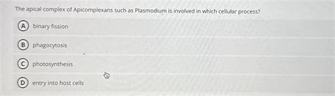 Solved The Apical Complex Of Apicomplexans Such As