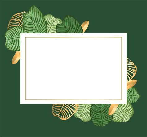 열대 잎 프레임 열대 야자수 잎 배경 벽지 일러스트 프리미엄 벡터