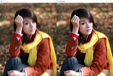Opencvsharp 学习笔记8 图像的模糊处理1（滤波）opencvsharp 卷积滤波 Csdn博客