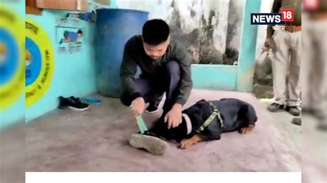 Jorhat News যোৰহাটত এইবাৰ চোৰৰ টাৰ্গেট শিক্ষানুষ্ঠান চোৰৰ তাণ্ডৱৰ