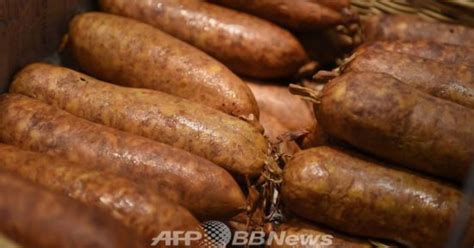 Who 소시지·햄·붉은 고기 암 유발 가능성육류 섭취 제한 권장