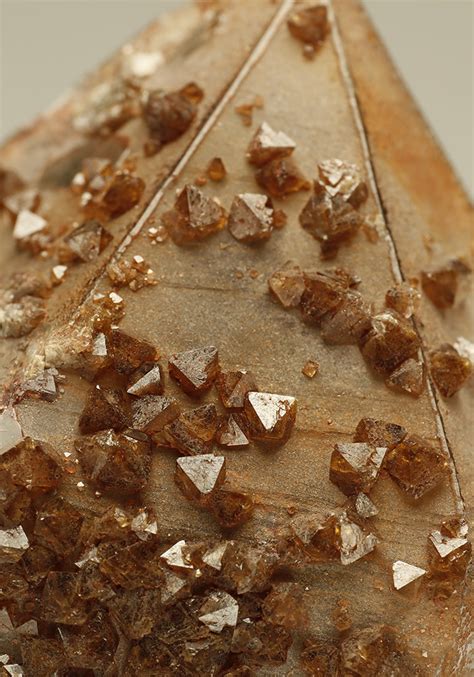 Minerals Crystals And Fossils Scheelite On Quartz Vereinigt Feld Mine