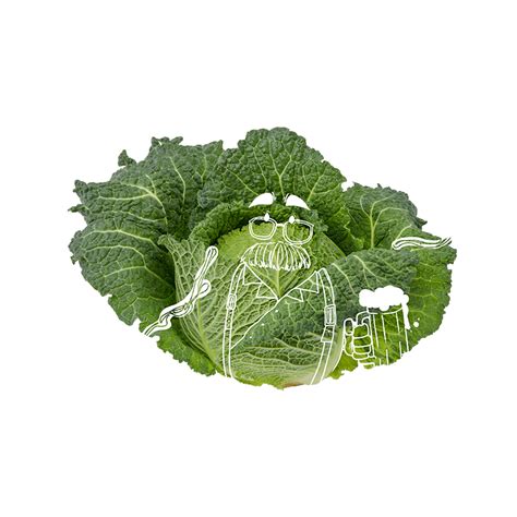 Wirsing Hussnätter Frischgemüse