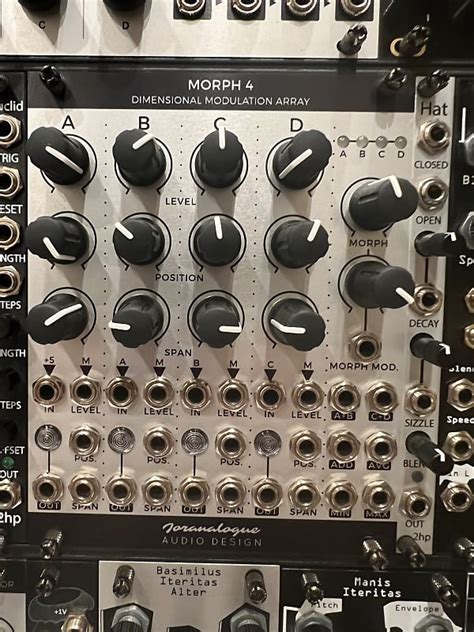 Joranalogue Morph 4 Reverb