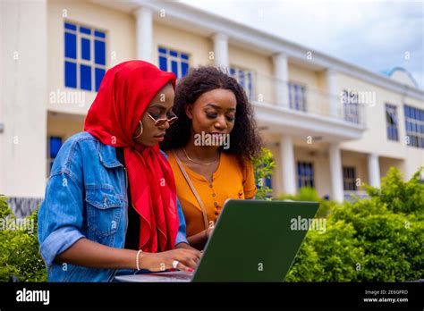 jóvenes negras hermosas damas sentándose y trabajando en ella portátil Fotografía de stock Alamy