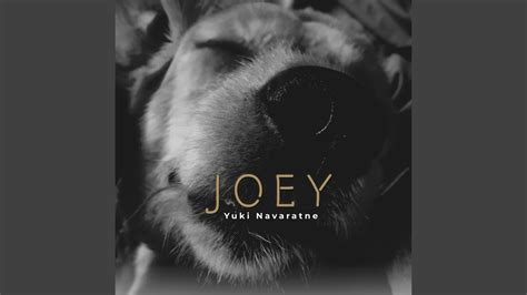 Joey Youtube Music